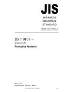 Download JIS T 8101:2006 In PDF - International Technical ...